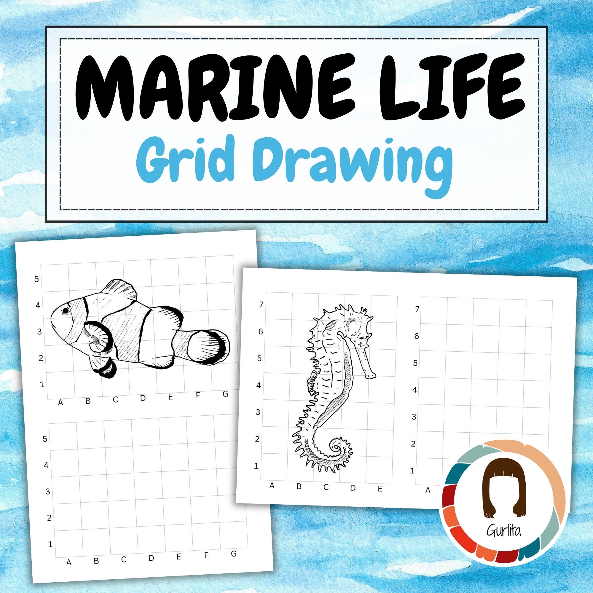 Learn to Draw: Grid Technique - 20 Sea Creatures - Whales, Dolphins ...