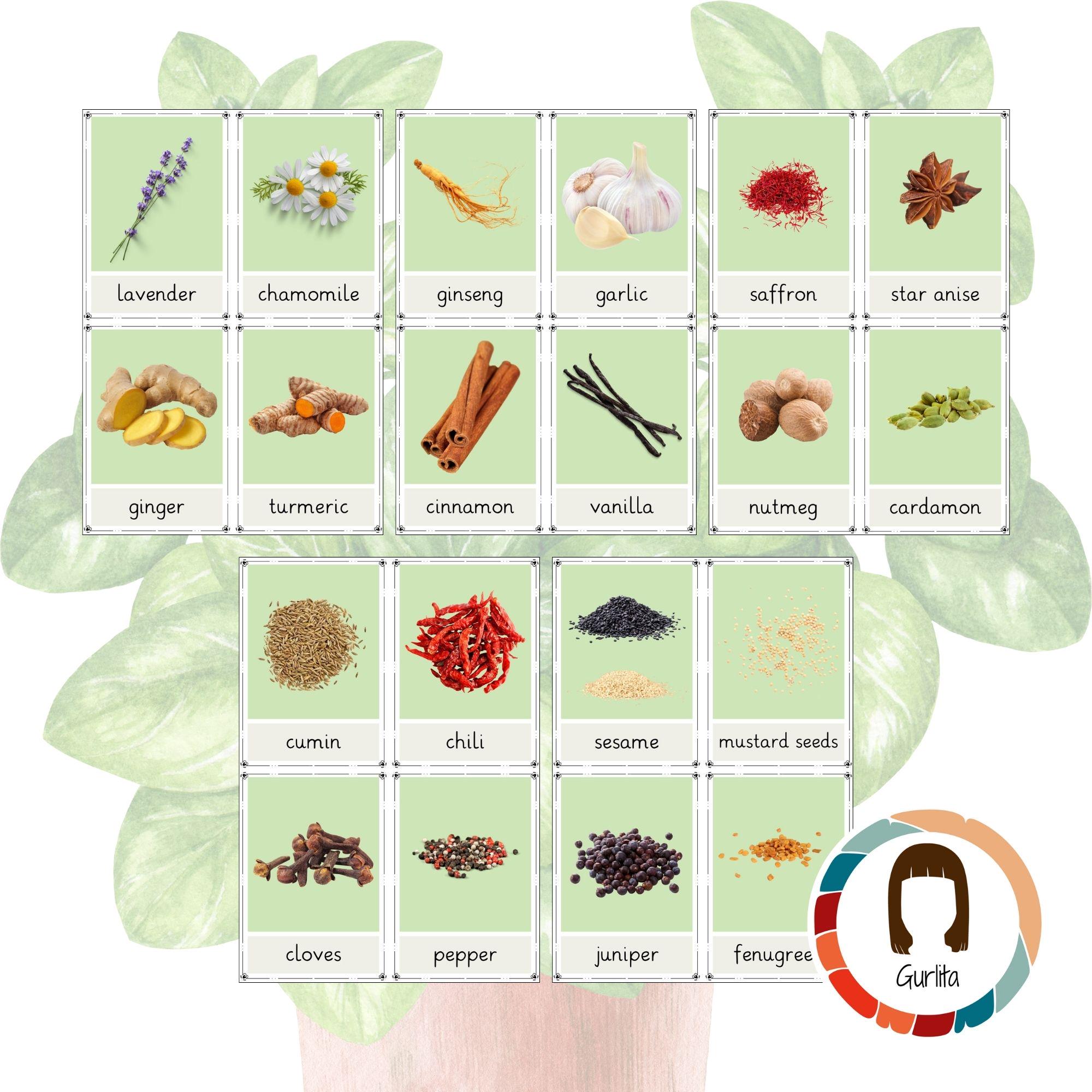 Flash Cards: Herbs & Spices / Montessori / Vocabulary - Etsy