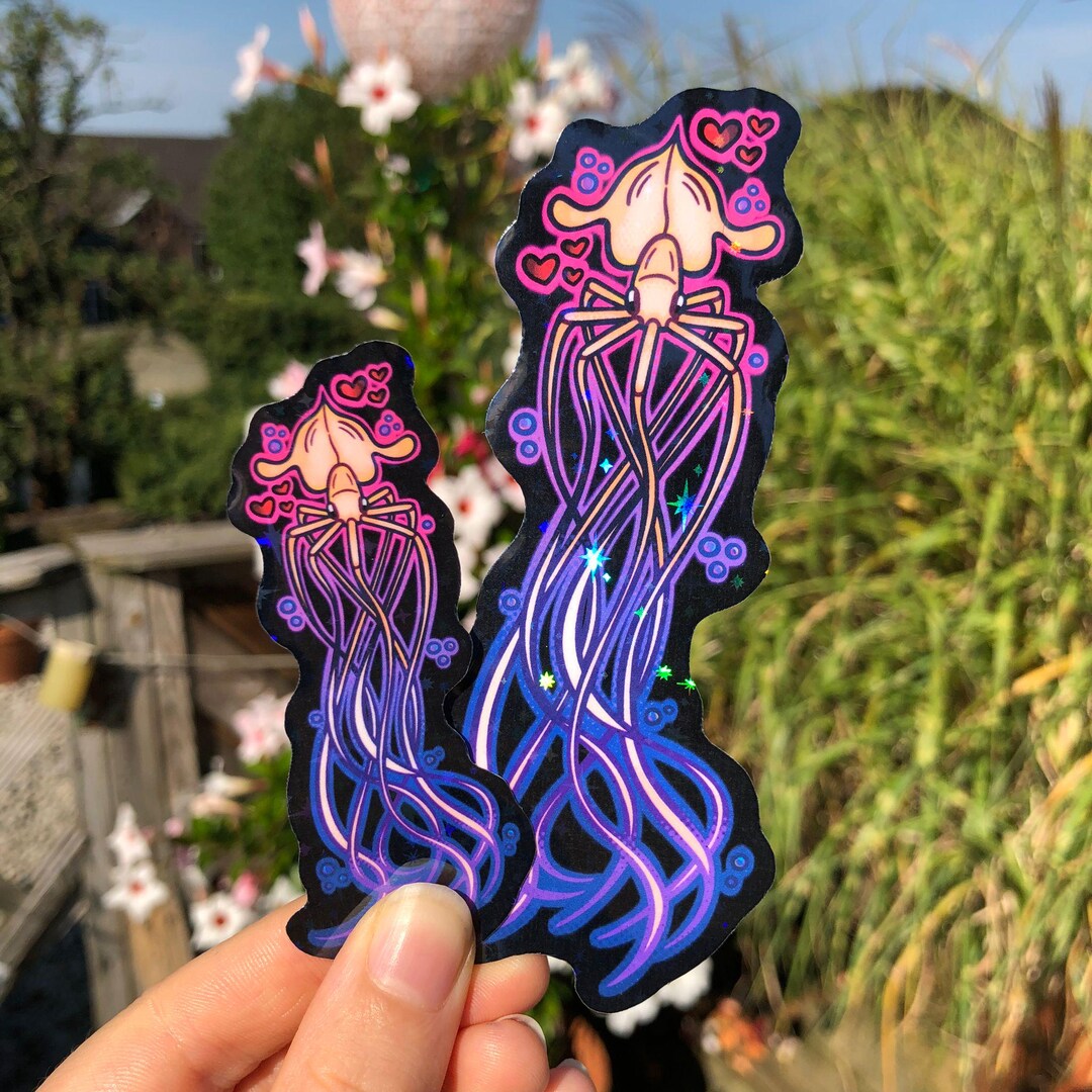 Bigfin Squid | Vinyl Sticker - Etsy