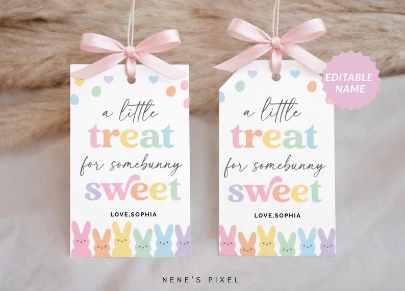 Editable Easter Gift Tags Printable, Somebunny Sweet Tags, Bunny Treat ...