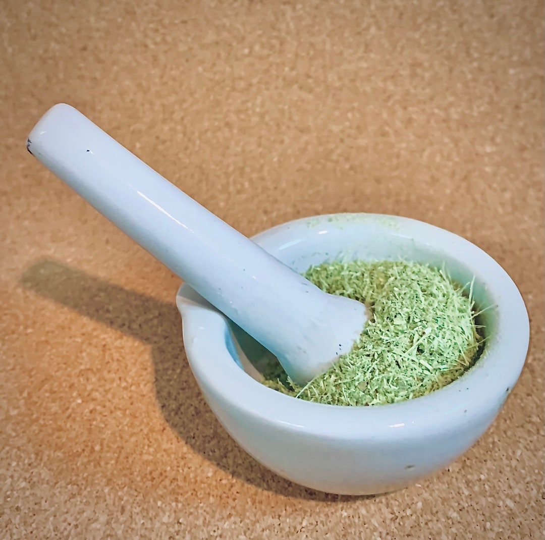 Mimosa Tree Bark albizia Julibrissin - Etsy