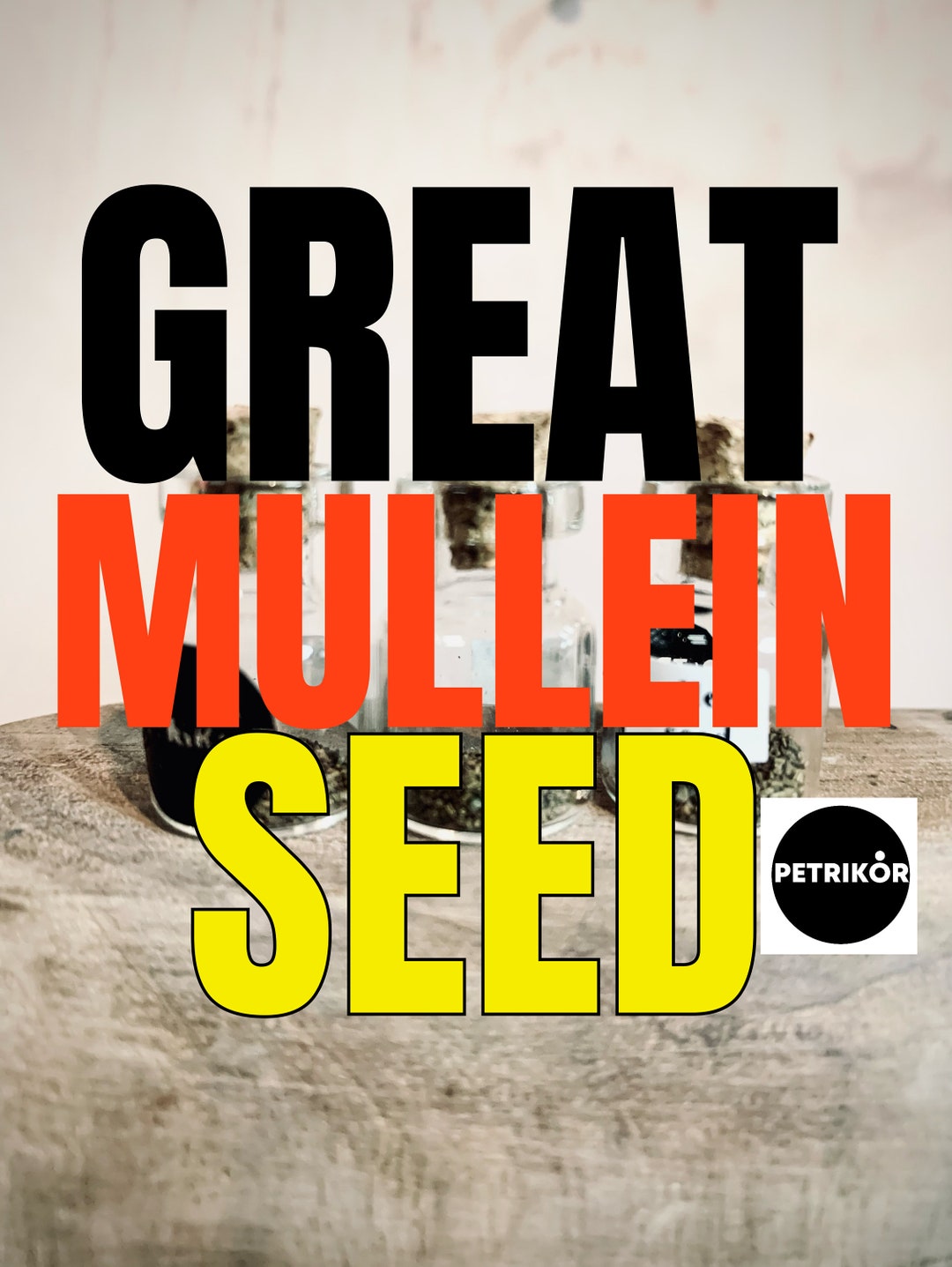 1000 Ct Great Mullein Seed verbascum Thapsus - Etsy