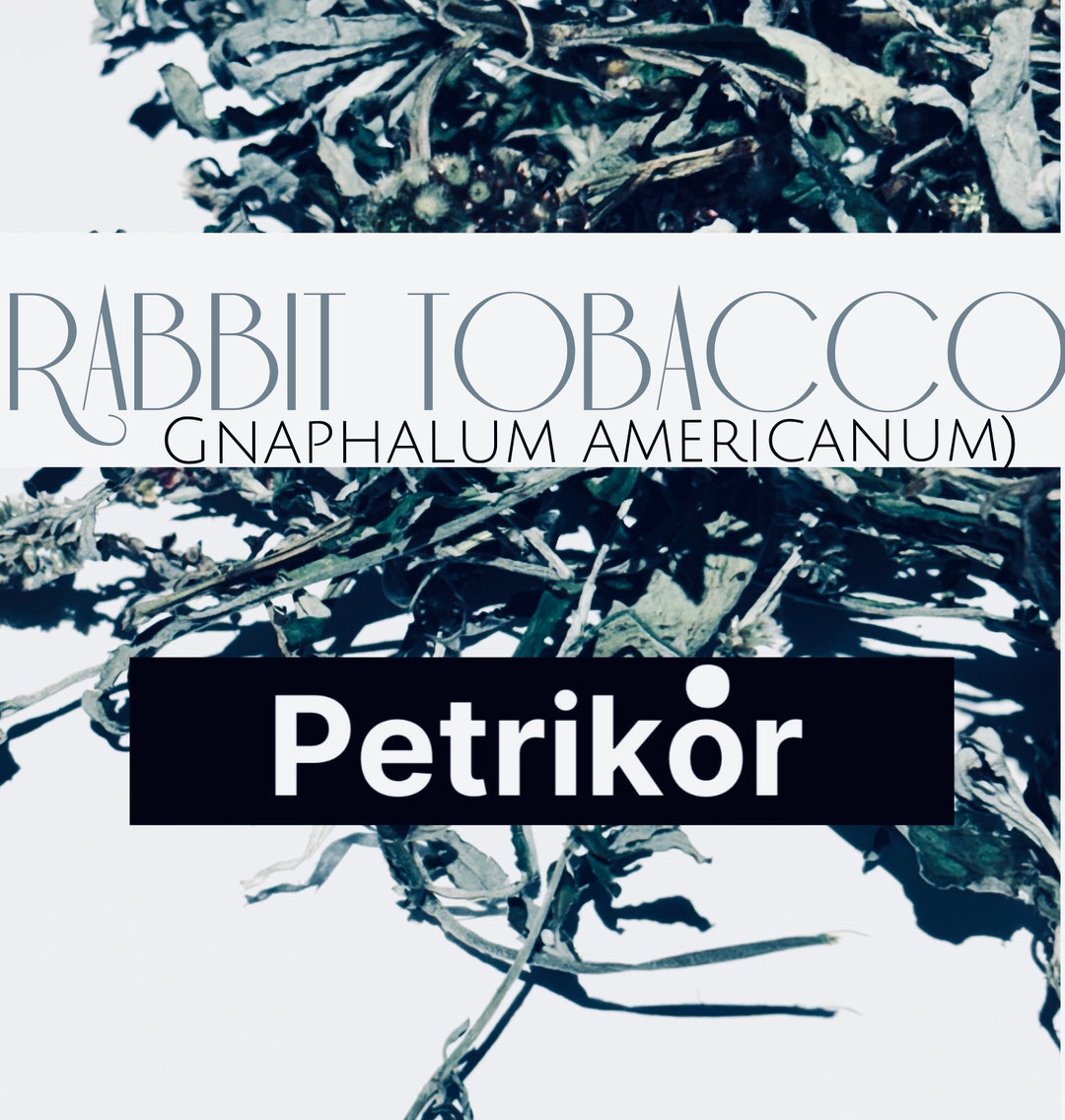 Rabbit Tobacco 1/2 Oz. - Etsy