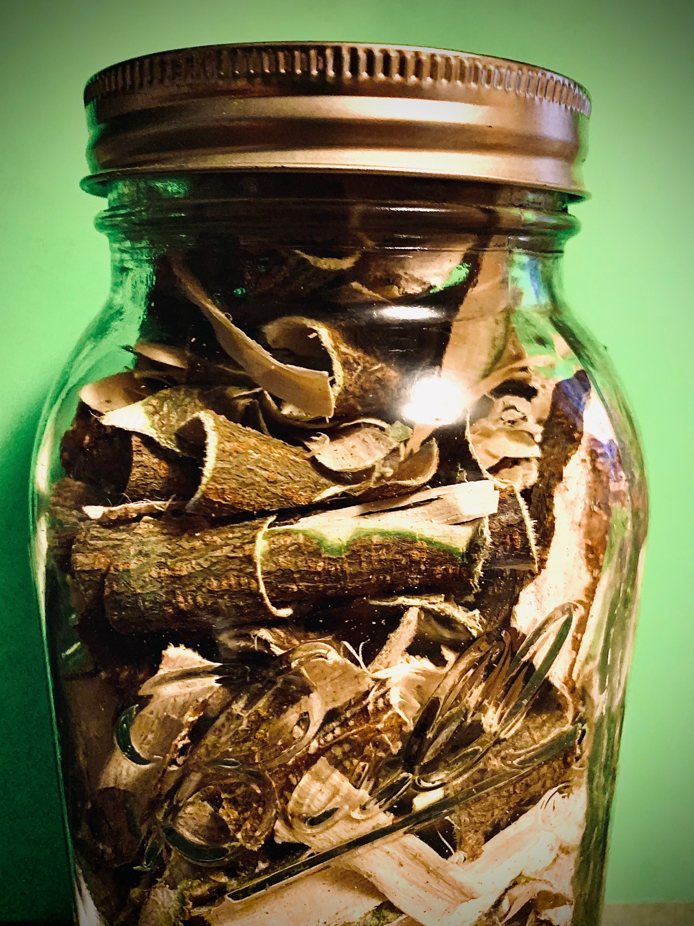 Mimosa Tree Bark albizia Julibrissin. Mimosa Tree. Tree of Hapiness. He ...