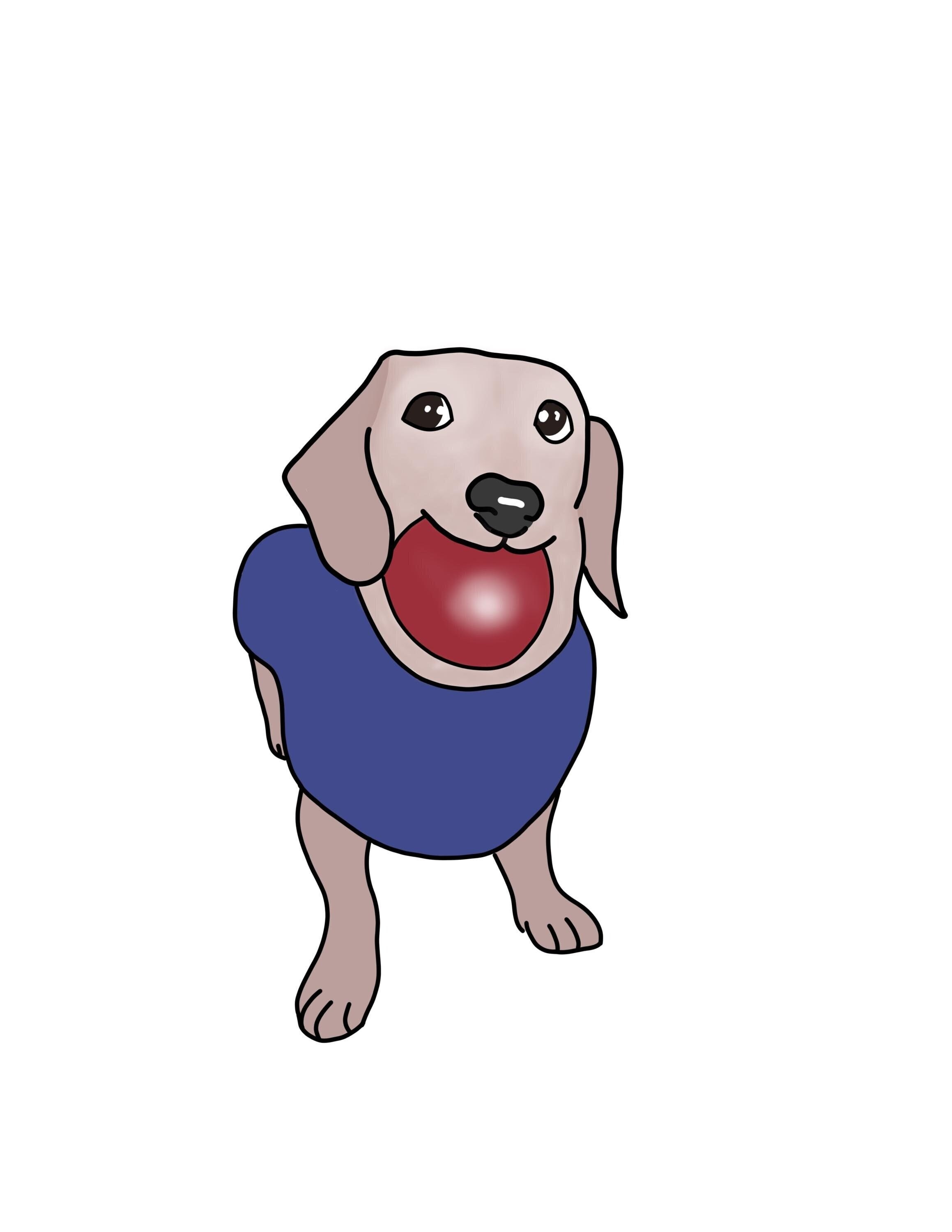 Dog With Apple Meme Sticker, Dog With Apple in Hus Mouth Happy, This ...