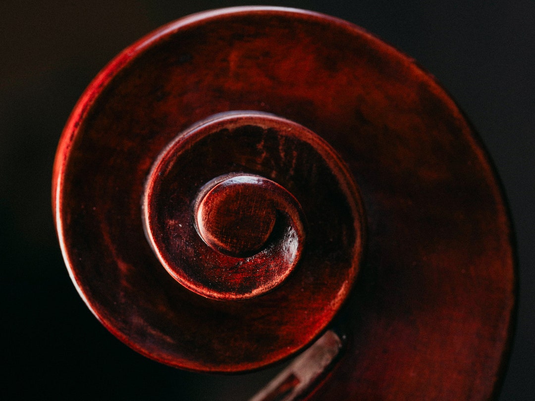 Fine Art Photography Print - Cello Scroll II - Music Wall Decor ...