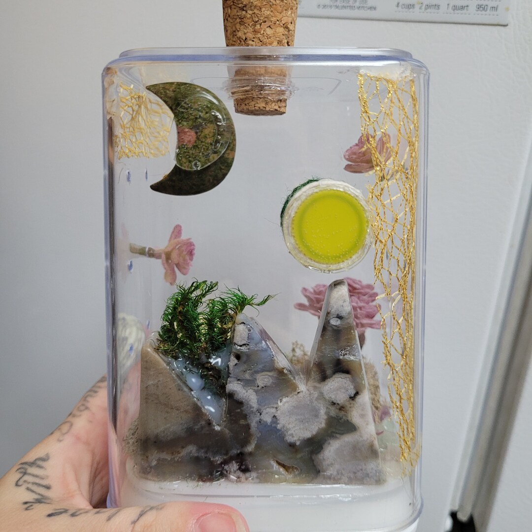 Jumping Spider Enclosure Medium - Etsy