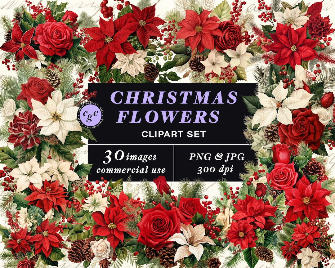 Christmas Red Flowers Clipart for Christmas Cards, Poinsettia Clipart ...