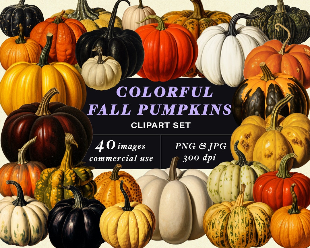 Vintage Autumn Pumpkin Clipart, Multicolored Pumpkins Harvest Clipart ...