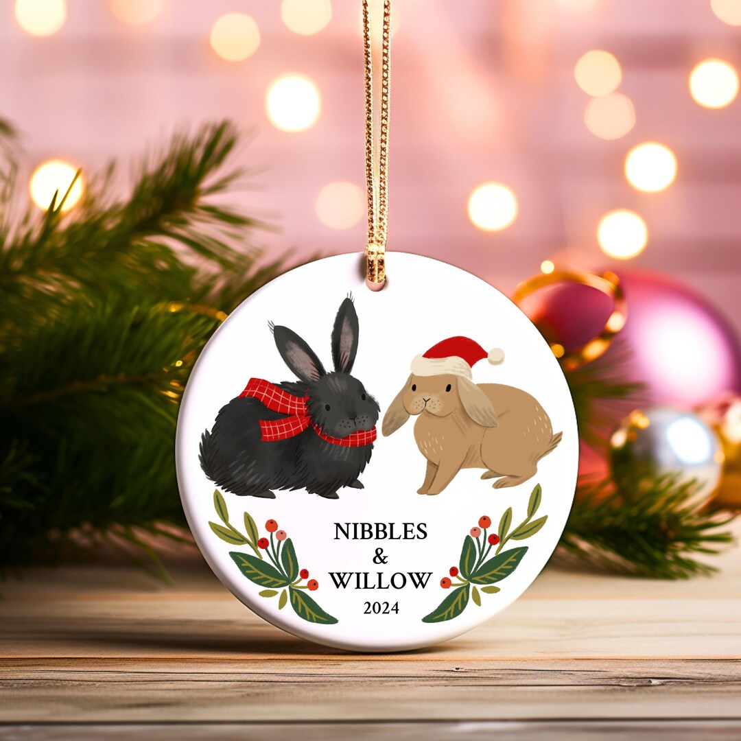 Personalized Rabbits Ornament Lop and Long Hair Bunny Christmas Gift ...