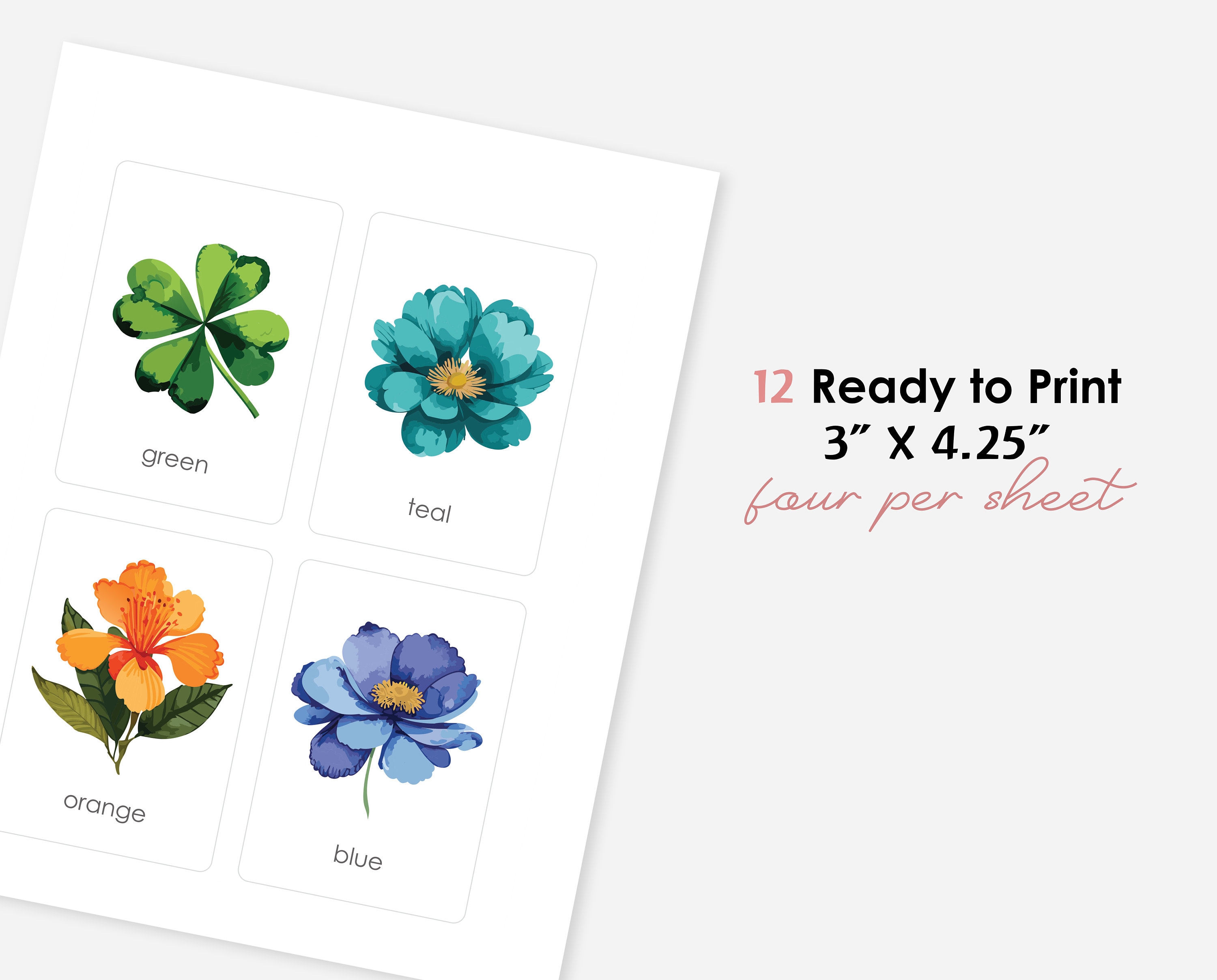 12 Printable Colors Flash Cards | Classroom Nursery Decor | Preschool ...