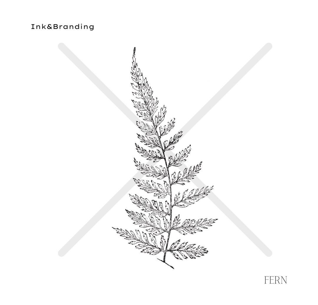 Fine Line Fern Design - Etsy