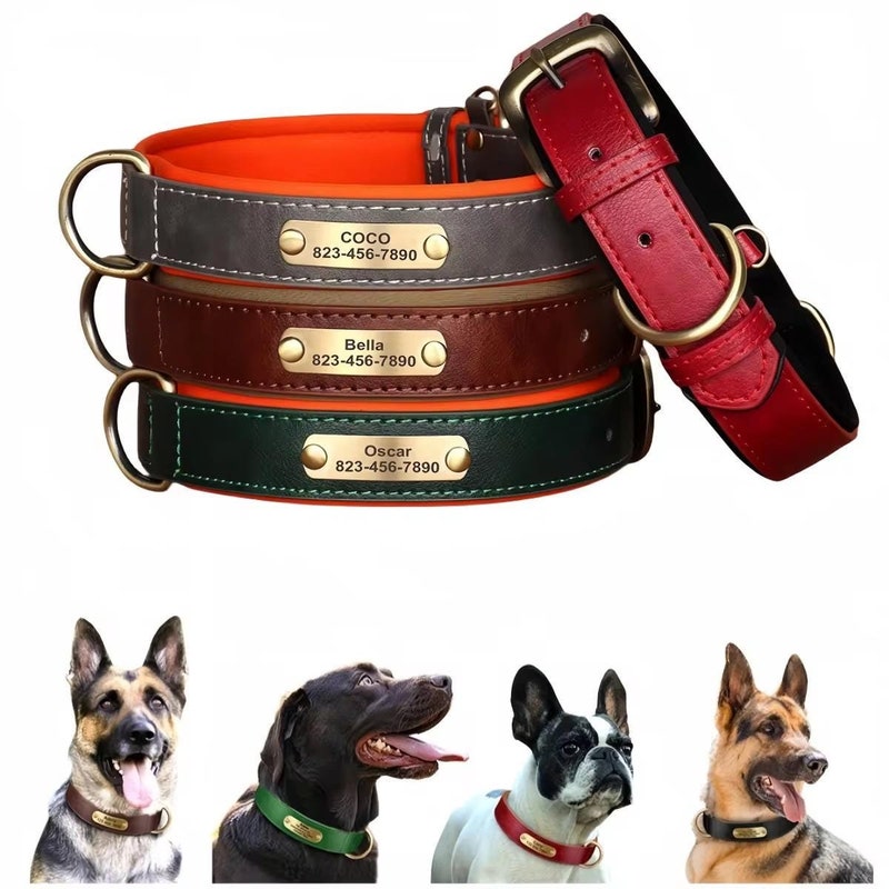 Custom Dog Collars - Etsy
