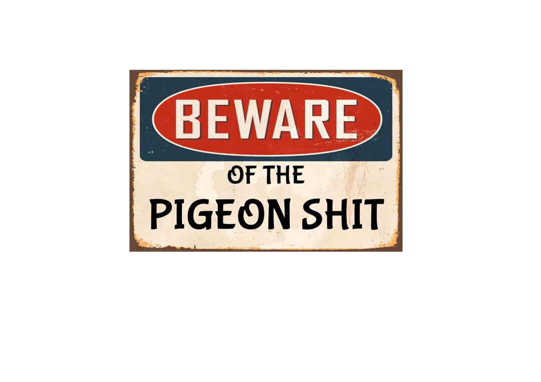 PIGEON Beware of the Pigeon Shit Metal Wall Sign ,funny, Vintage Music ...