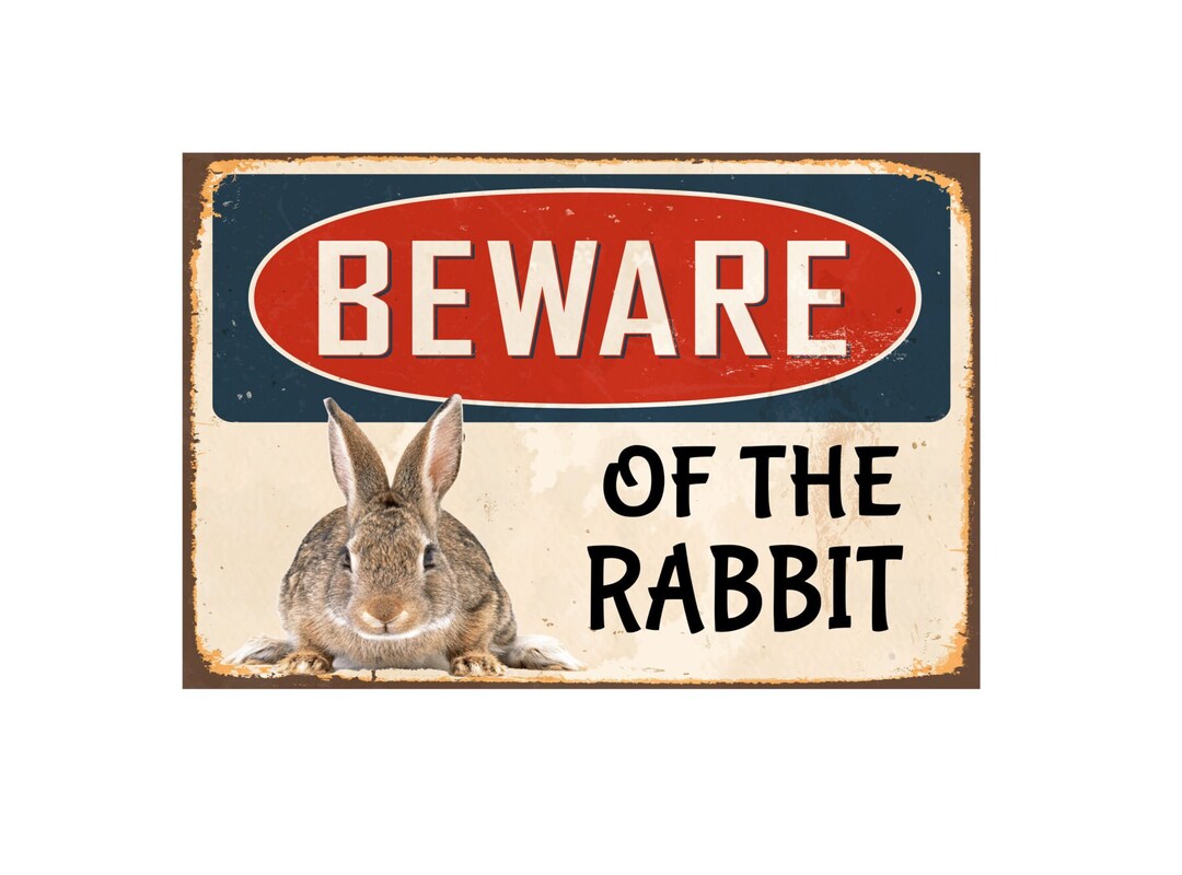 Metal Wall Sign Beware of the Rabbit 2 Signs Funny Summer,gifts for Him ...