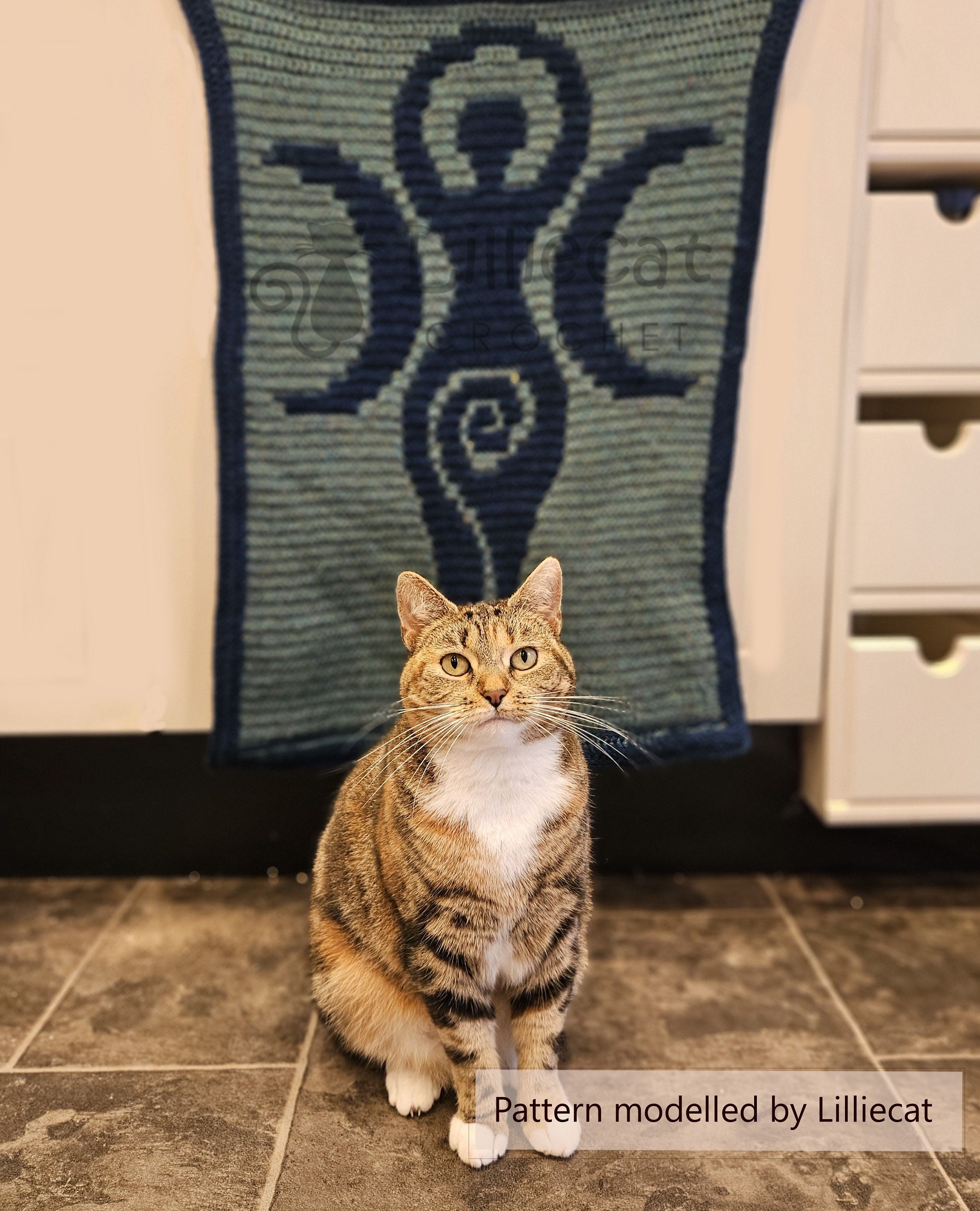 Moon Goddess Wall Hanging CROCHET PATTERN PDF Digital Download Witchy ...