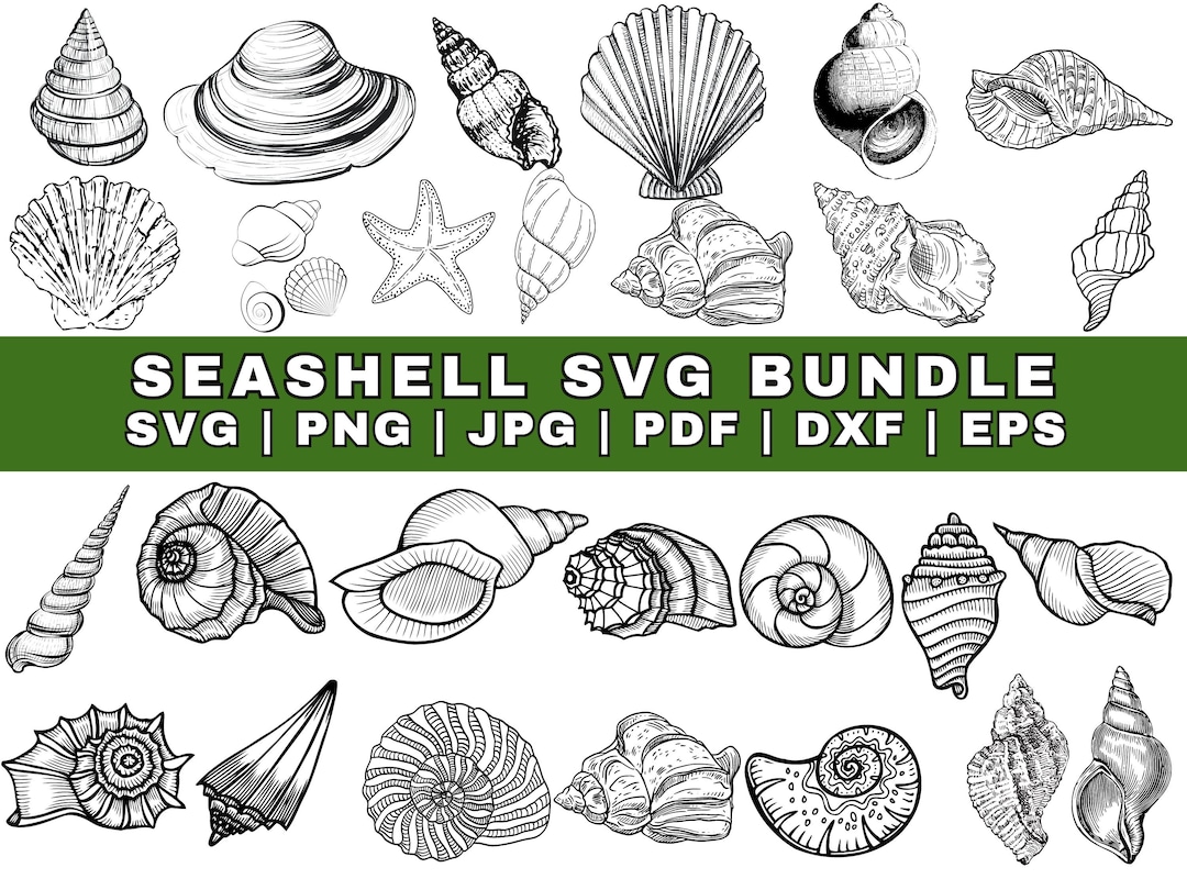 Seashell SVG Bundle: Clipart, Cut Files, Silhouette (digital Download ...