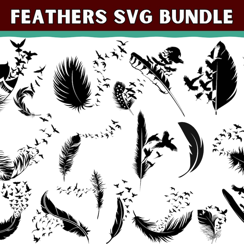 Feather Bird Svg - Etsy