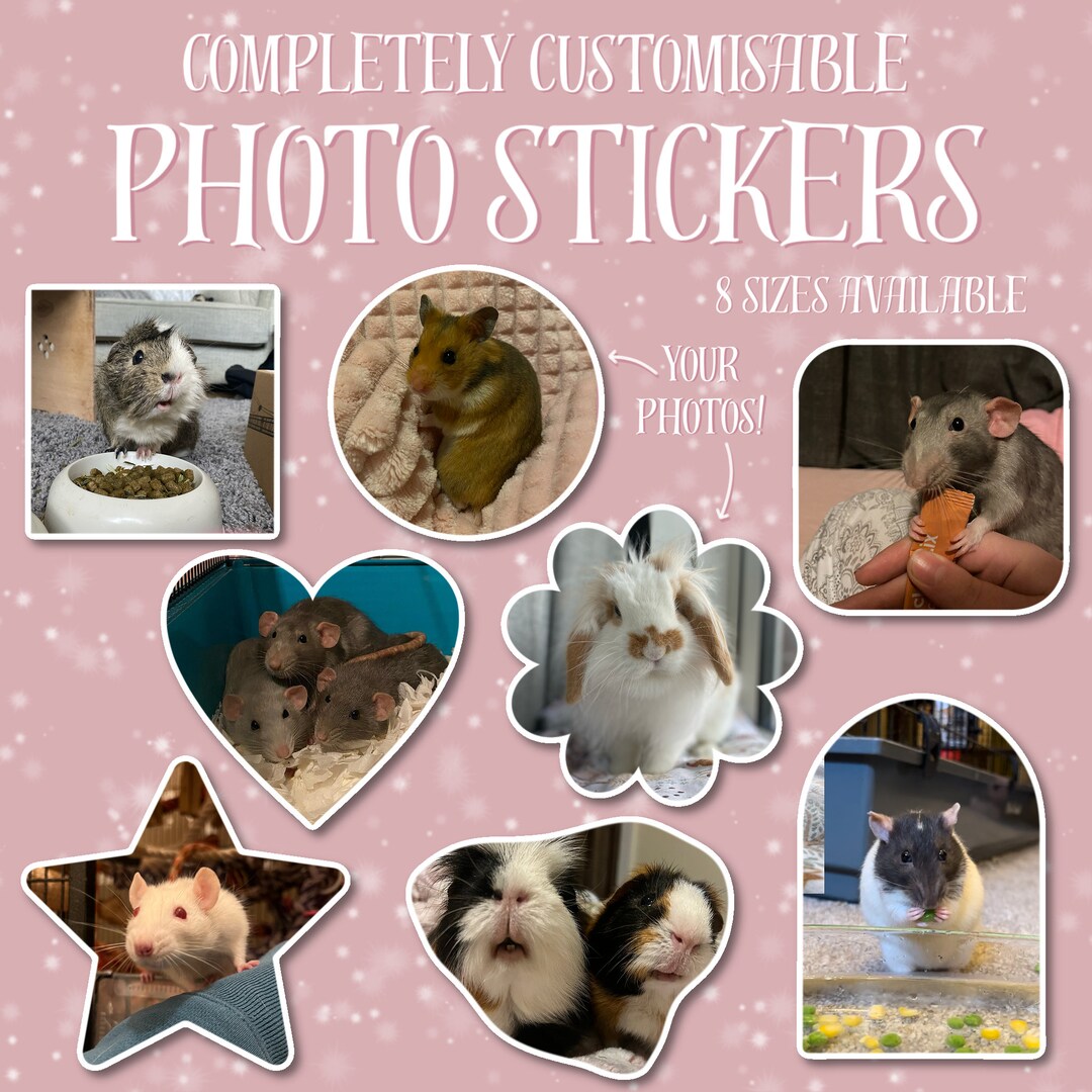 Custom Vinyl Photo Stickers Custom Stickers Die Cut Stickers Custom ...