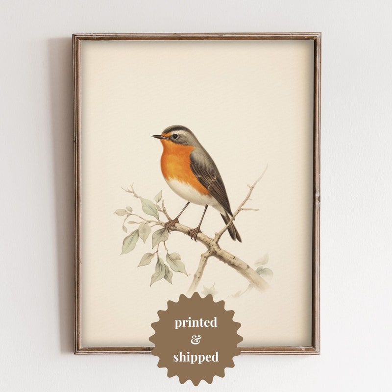 Robin Painting - Etsy