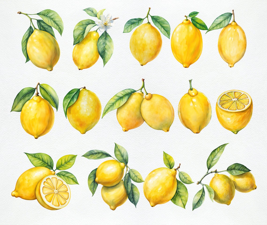 Watercolor Lemon Clipart, Lemons Png - Lemon Twig Clipart, Lemon Wreath ...