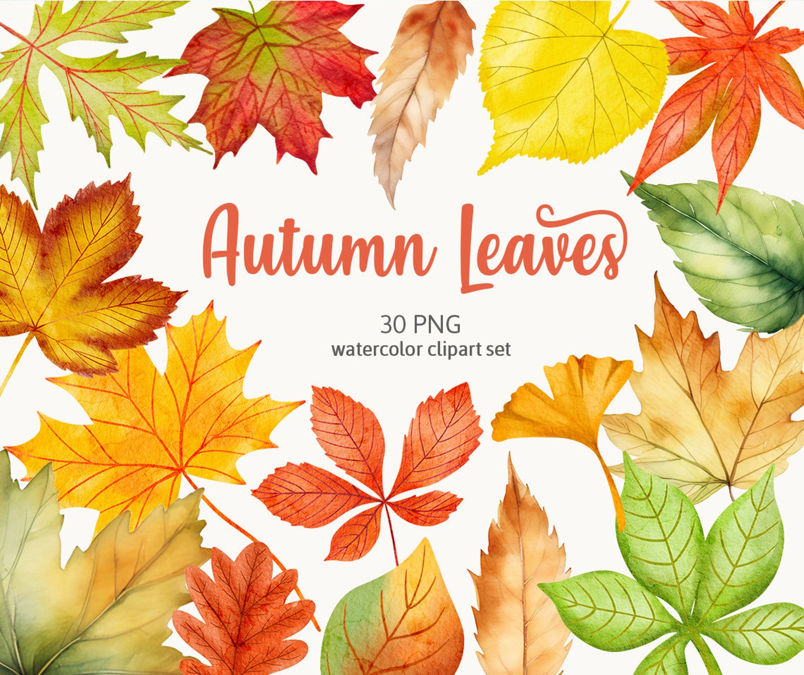 Autumn Leaves Watercolor Clipart Set, Fall Leaves Season Collection ...
