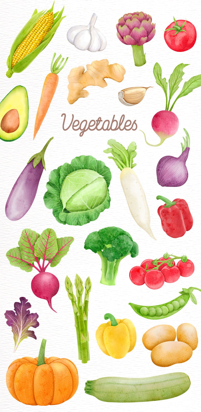 Fresh Vegetables Summer Assorted Vegetable Vegetarian Farm Healthy Food ...