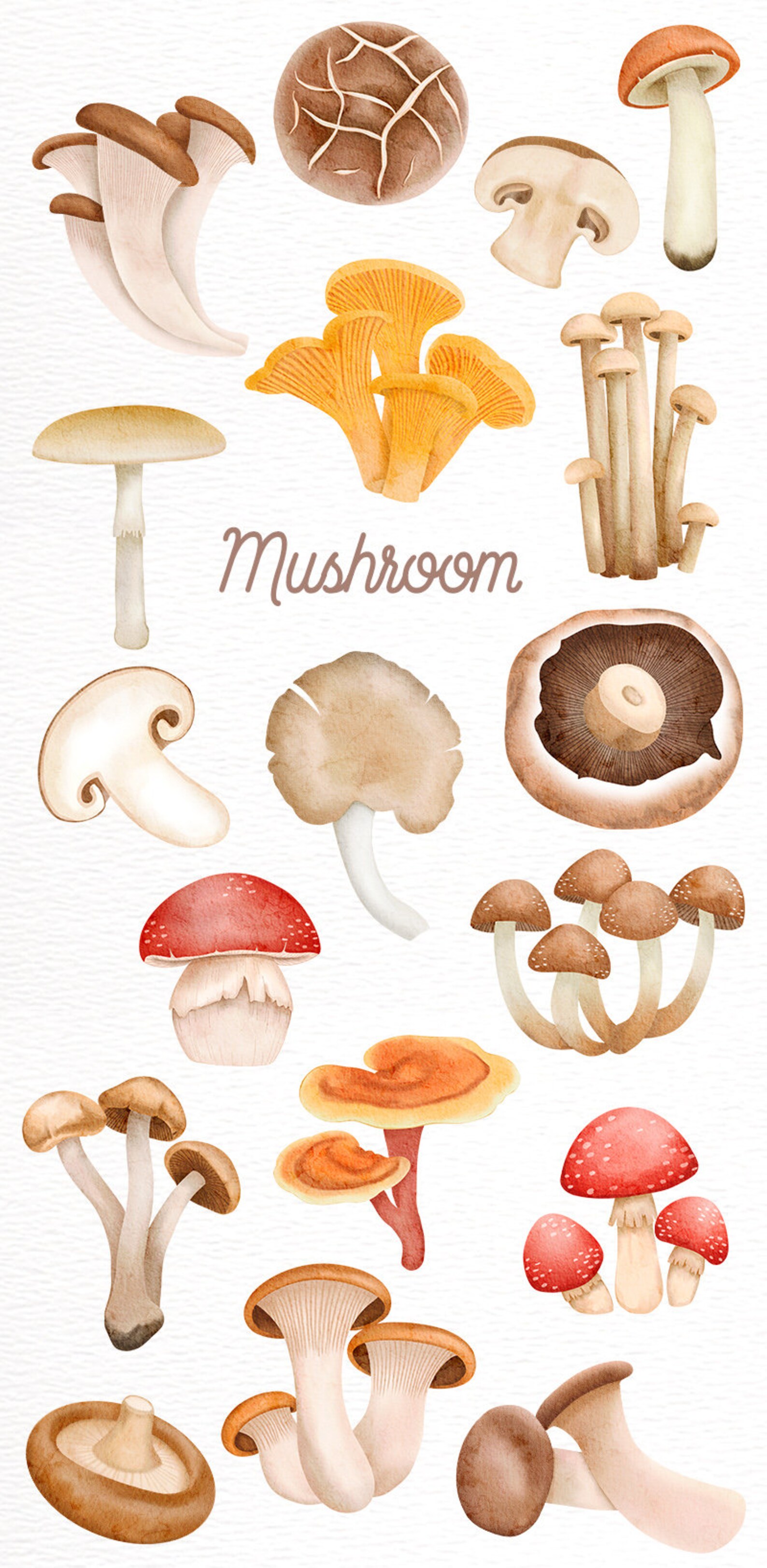 Watercolor Mushroom Clipart, Forest Nature Wild Mushroom, Fall Autumn ...