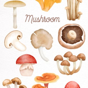 Watercolor Mushroom Clipart, Forest Nature Wild Mushroom, Fall Autumn ...