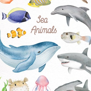 Sea Animals Undersea World Summer Nautical Fish Sea Creatures Under the ...