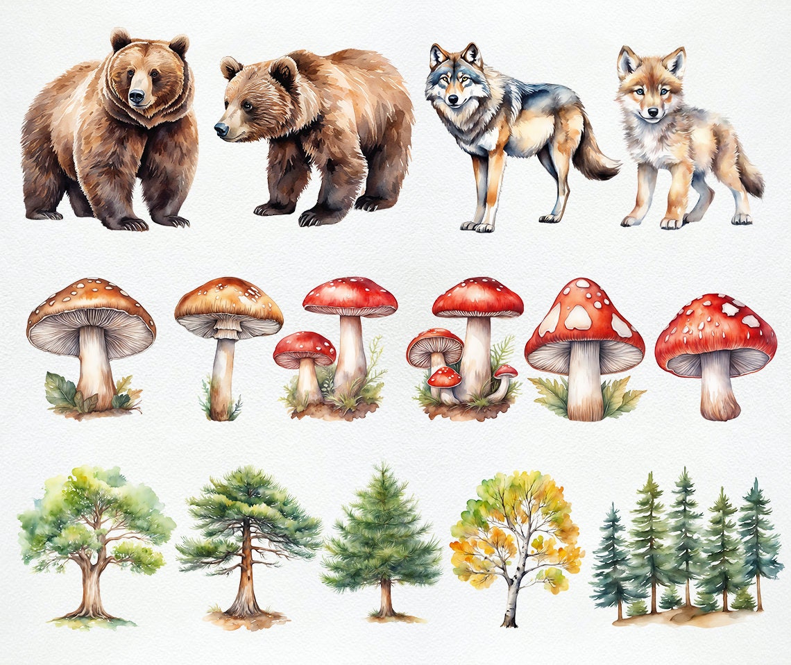 Animal Woodland Watercolor Fox Bear Deer Owl Bunny Raccoon Squirrel ...