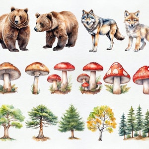 Animal Woodland Watercolor Fox Bear Deer Owl Bunny Raccoon Squirrel ...