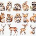 Animal Woodland Watercolor Fox Bear Deer Owl Bunny Raccoon Squirrel ...