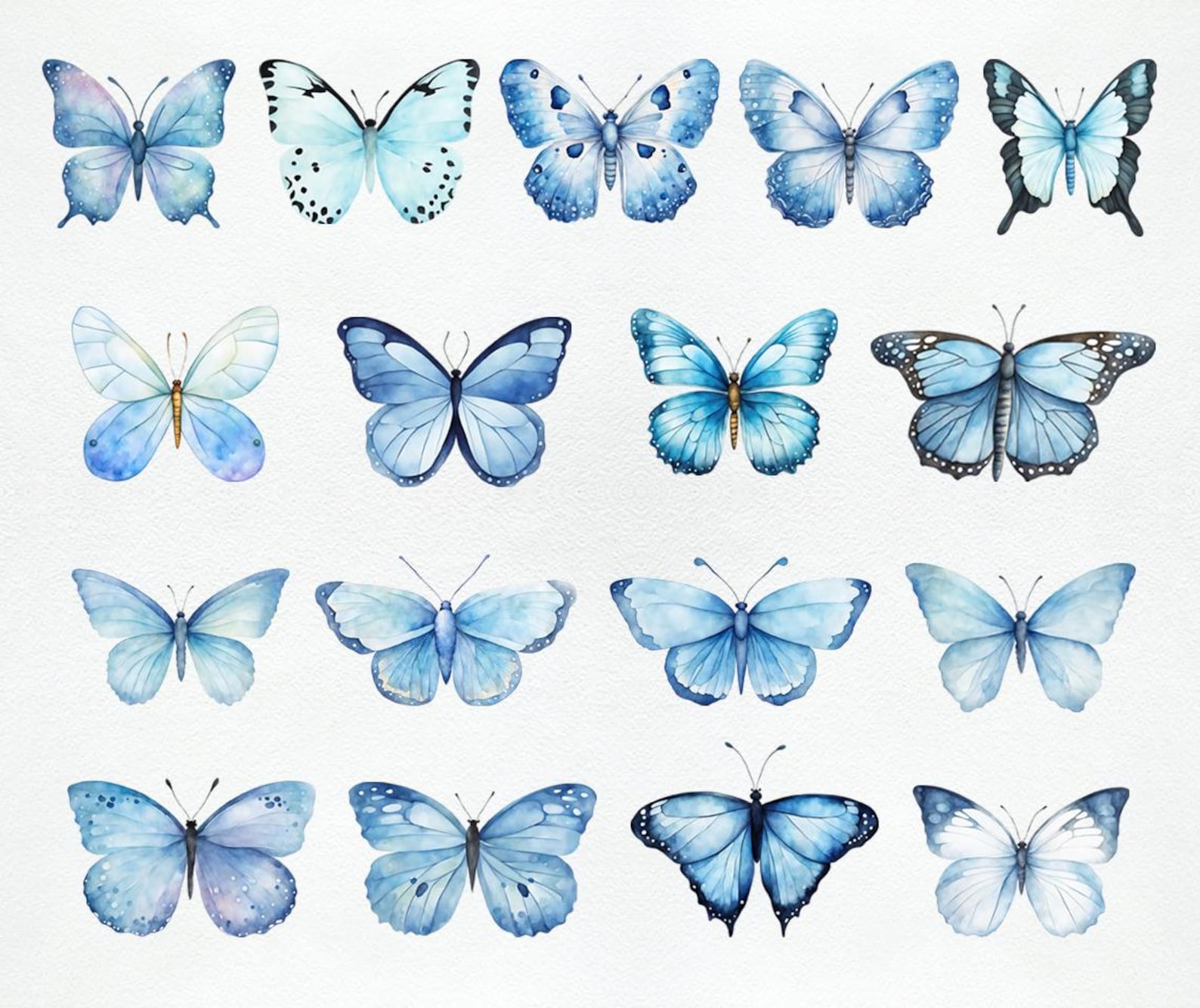 Blue Butterfly, Soft Butterflies, Light Blue Butterflies, Transparent ...