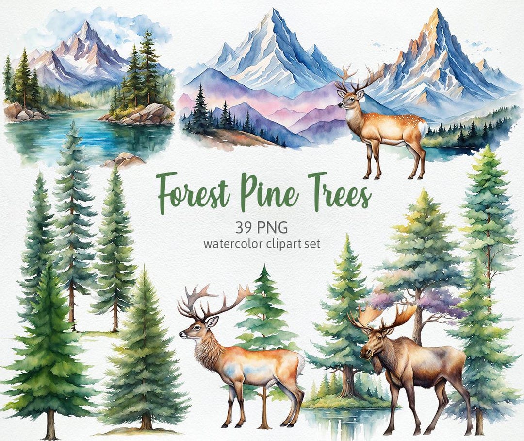 Watercolor Forest Pine Trees Forest Landscape Clip Art Nature Woodland ...