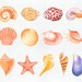 Sea Shell Summer Beach Ocean Shells Paper Craft Starfish Sea Snail ...