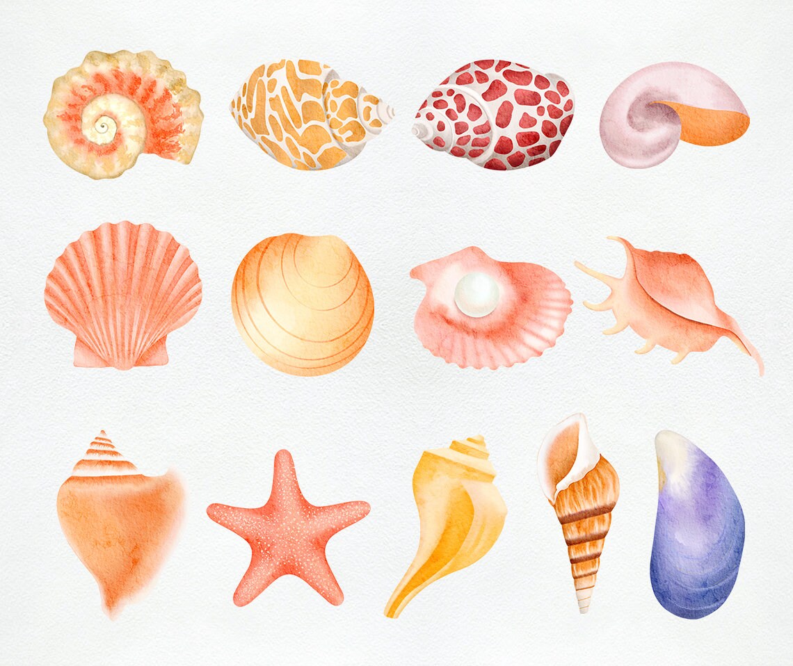 Sea Shell Summer Beach Ocean Shells Paper Craft Starfish Sea Snail ...