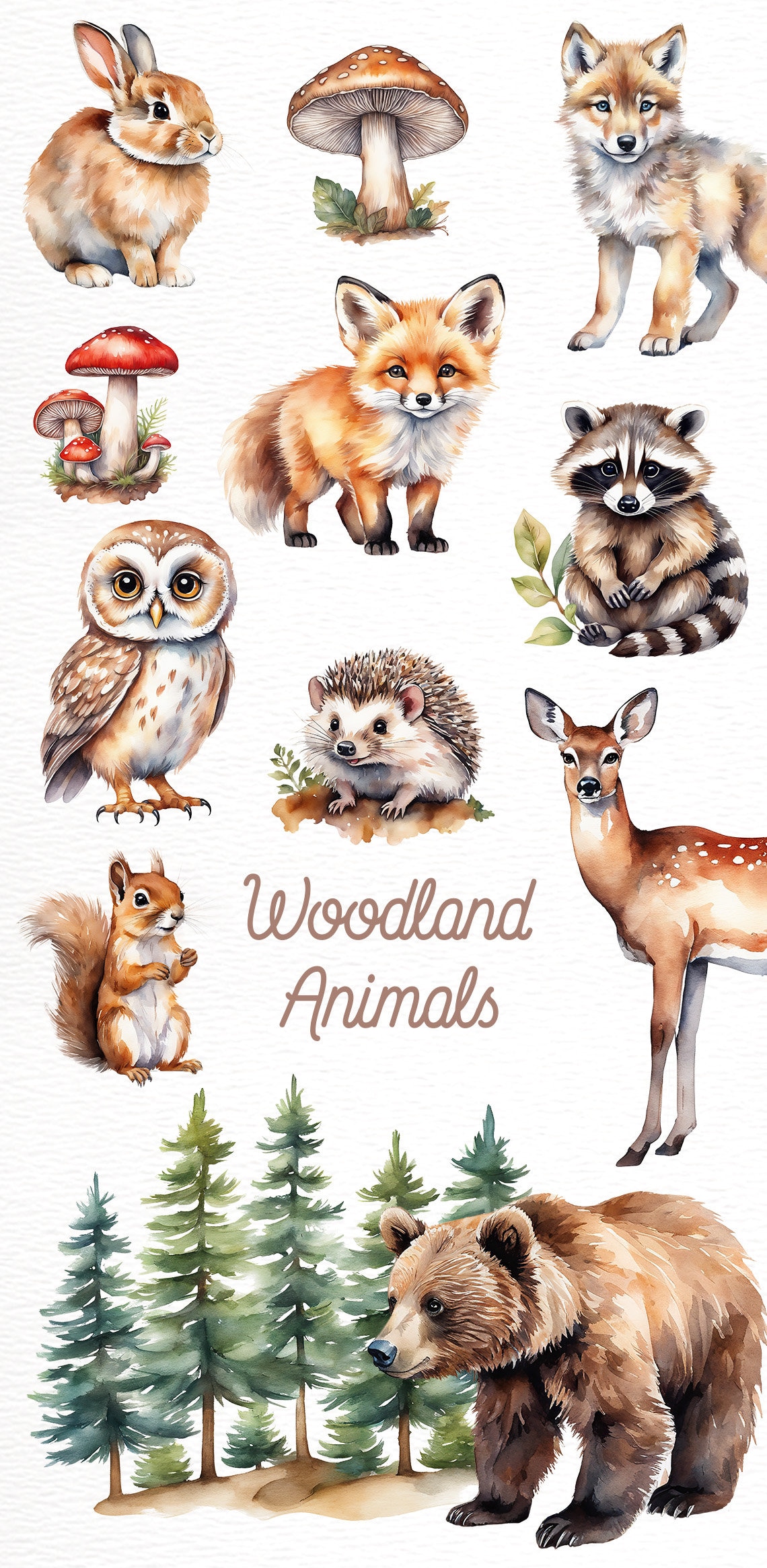 Animal Woodland Watercolor Fox Bear Deer Owl Bunny Raccoon Squirrel ...