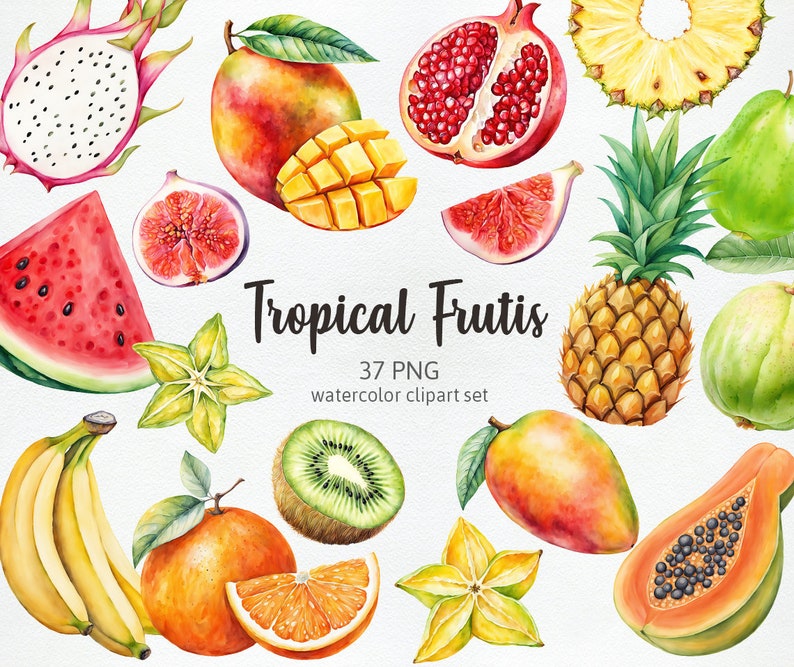 Watercolor Tropical Fruit Summer Food, Dragon Fruit, Mango, Pineapple ...
