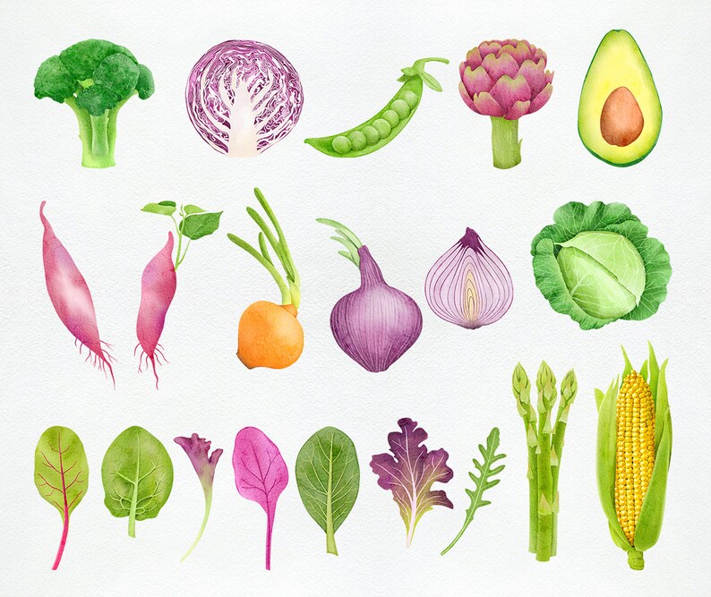 Fresh Vegetables Summer Assorted Vegetable Vegetarian Farm Healthy Food ...