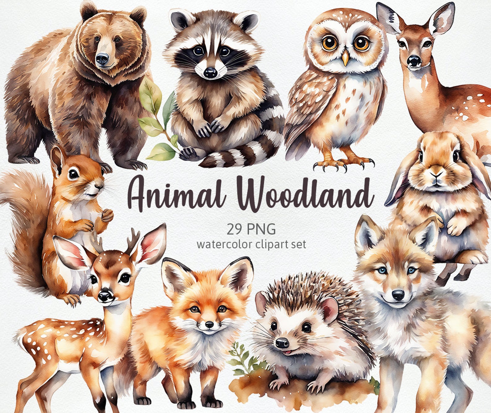 Animal Woodland Watercolor Fox Bear Deer Owl Bunny Raccoon Squirrel ...