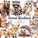 Animal Woodland Watercolor Fox Bear Deer Owl Bunny Raccoon Squirrel ...