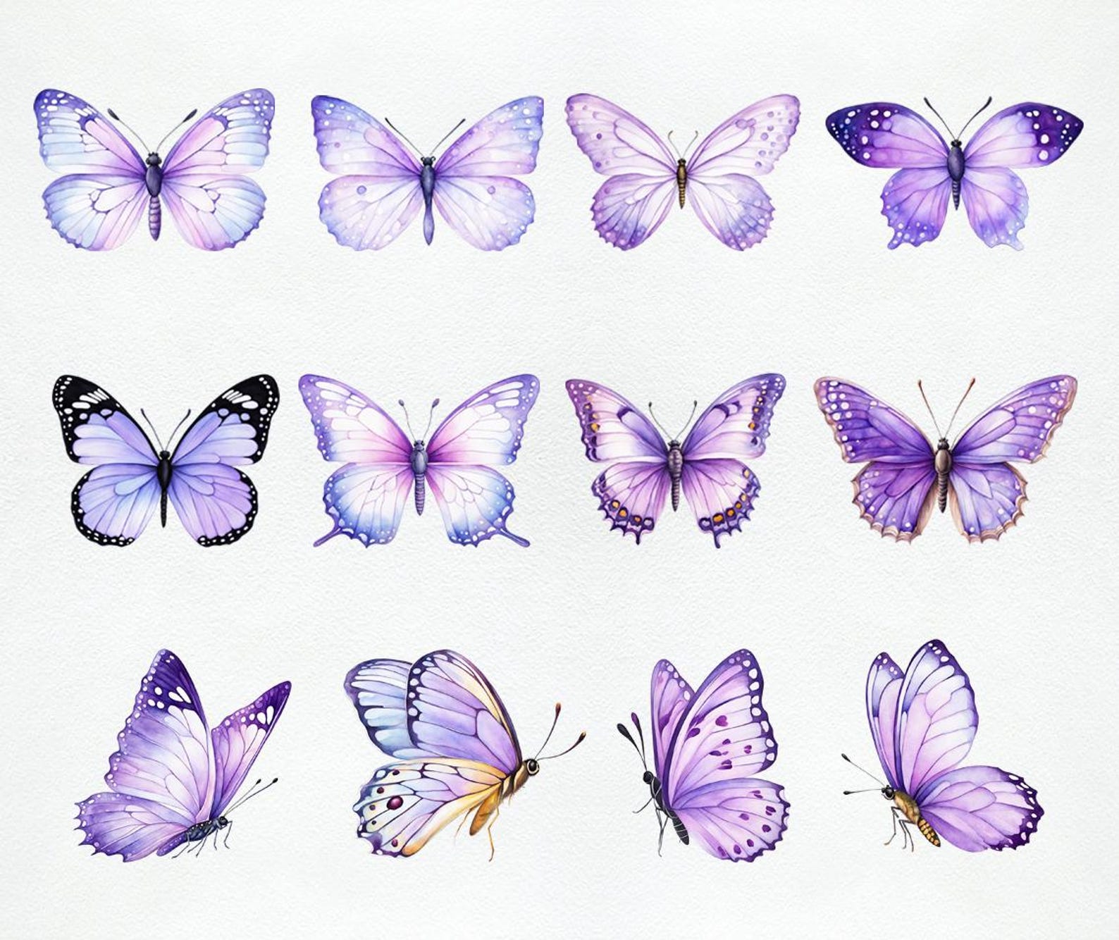 Purple Butterfly, Soft Butterflies, Light Baby Purple Butterflies ...