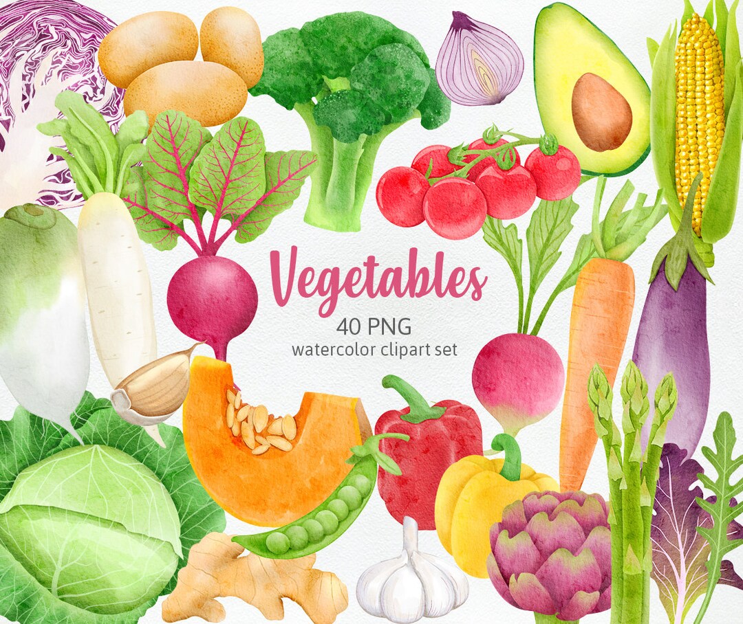 Fresh Vegetables Summer Assorted Vegetable Vegetarian Farm Healthy Food ...