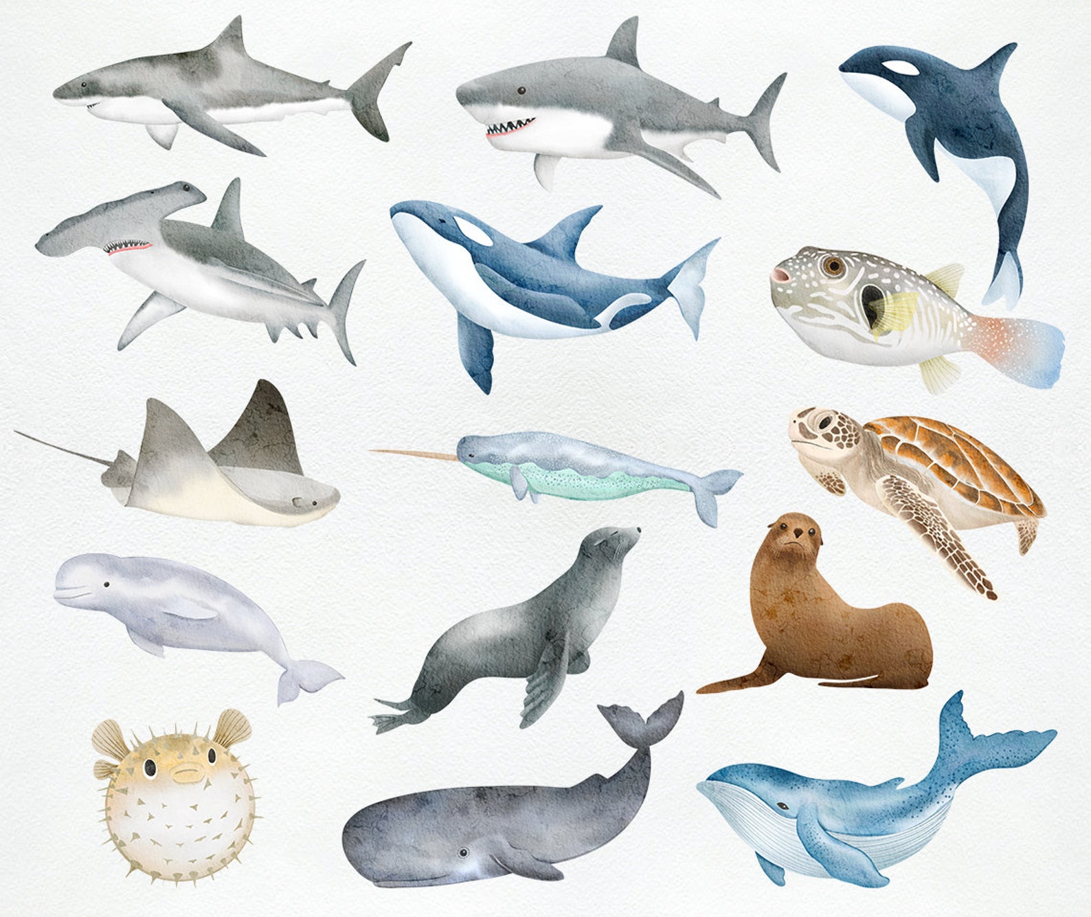 Sea Animals Undersea World Summer Nautical Fish Sea Creatures Under the ...