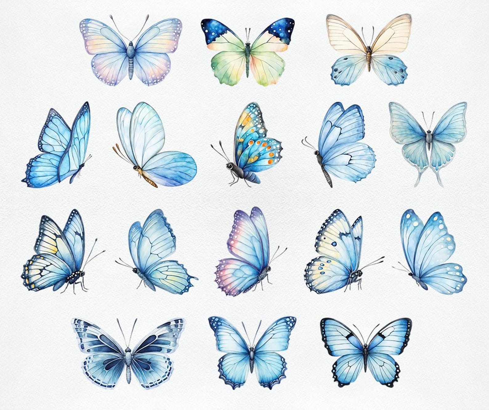 Blue Butterfly, Soft Butterflies, Light Blue Butterflies, Transparent ...