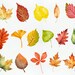 Autumn Leaves Watercolor Clipart Set, Fall Leaves Season Collection ...