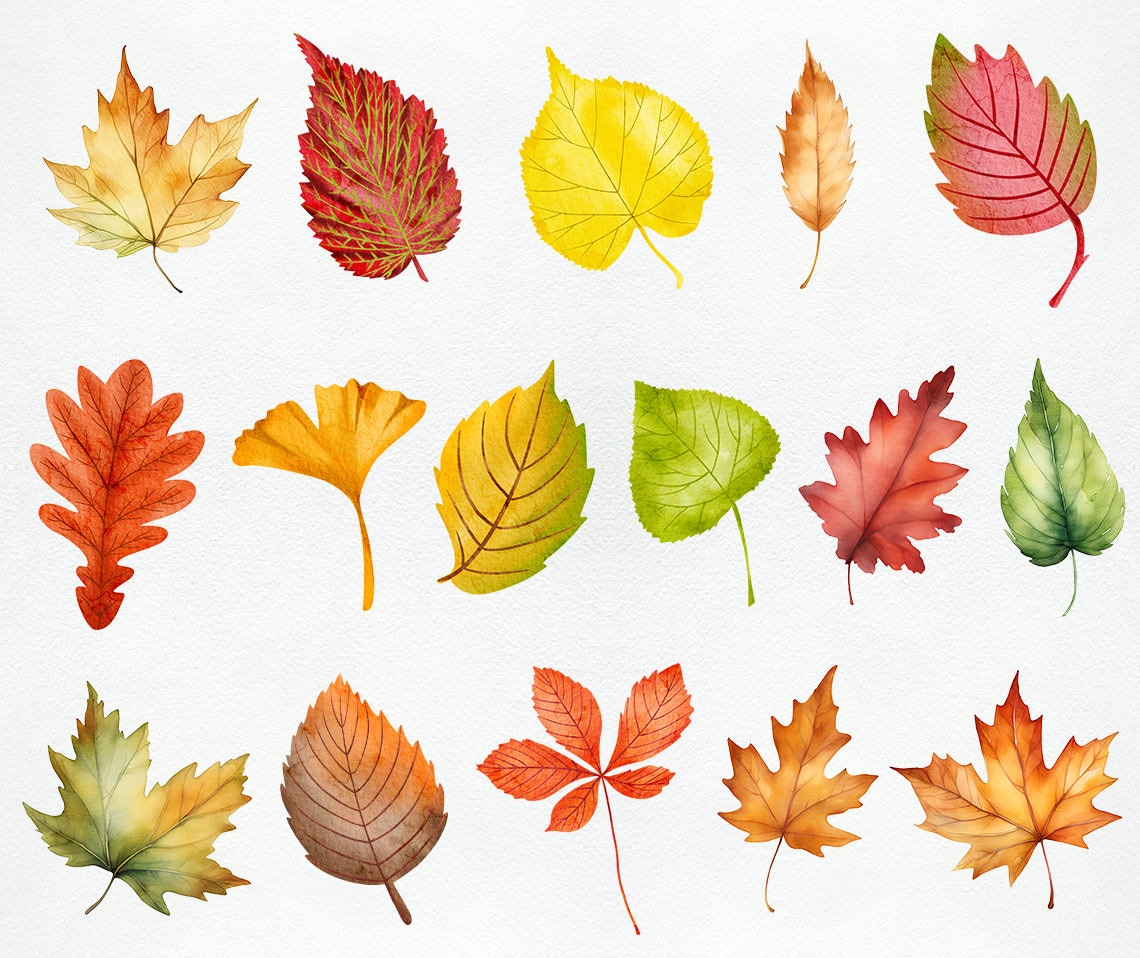 Autumn Leaves Watercolor Clipart Set, Fall Leaves Season Collection ...