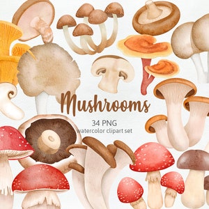 Watercolor Mushroom Clipart, Forest Nature Wild Mushroom, Fall Autumn ...