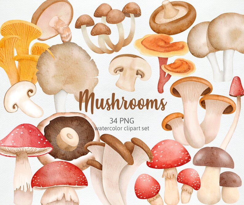 Watercolor Mushroom Clipart, Forest Nature Wild Mushroom, Fall Autumn ...